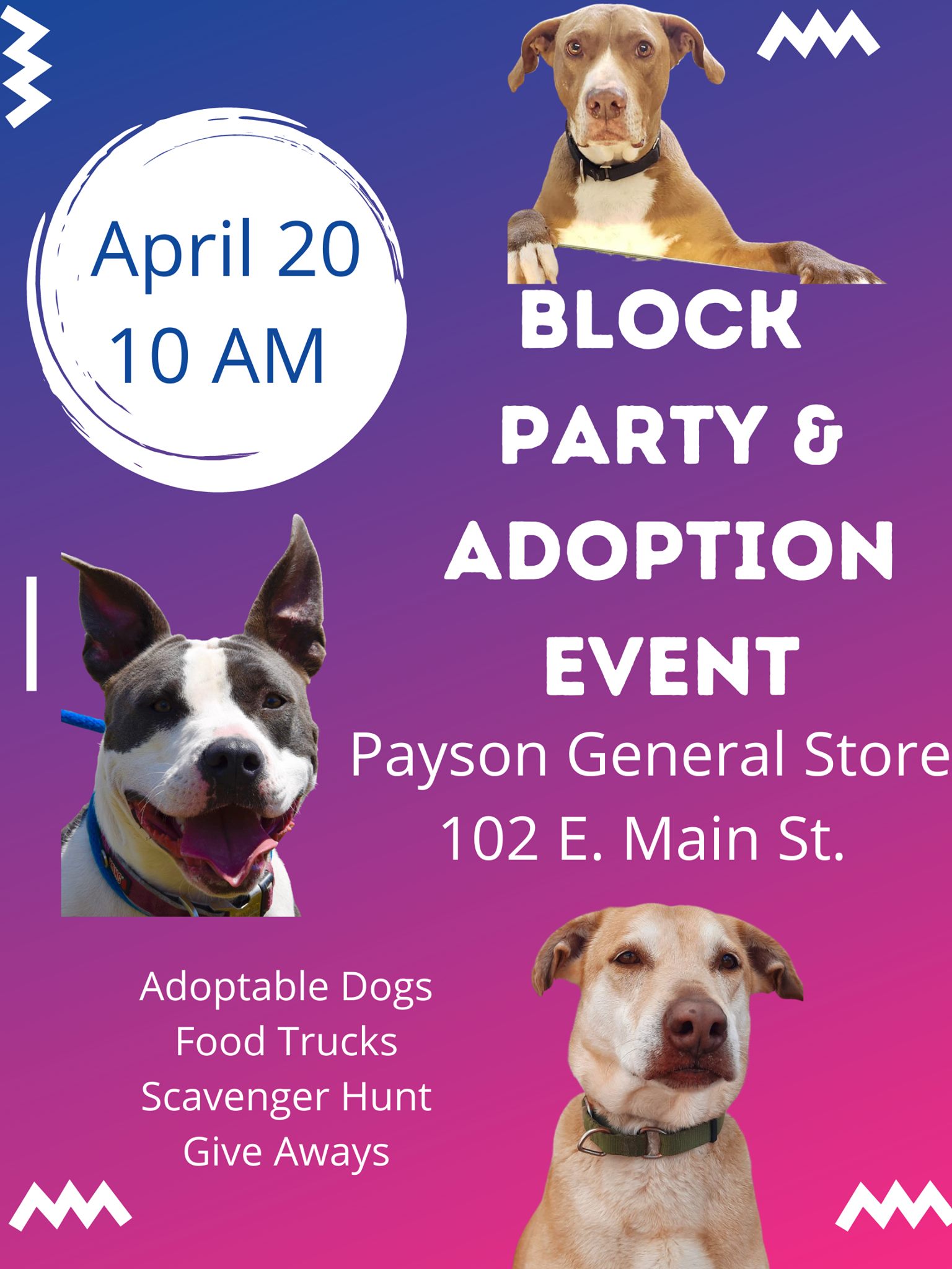 Adoption Event – Humane Society of Central Arizona