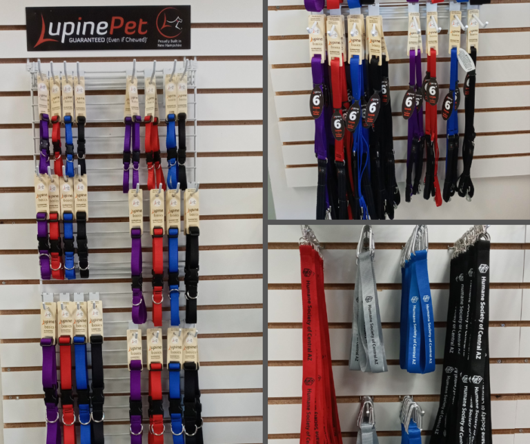 Humane Society of Central Arizona – Payson, Arizona Animal Shelter ...