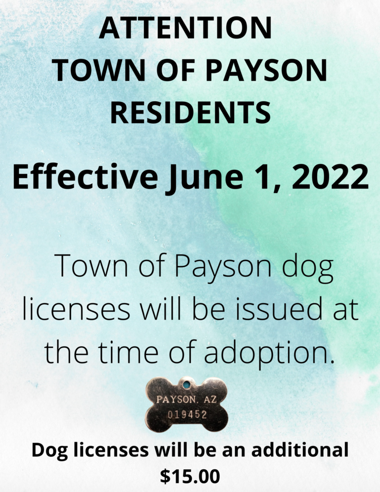 Adopt – Humane Society of Central Arizona