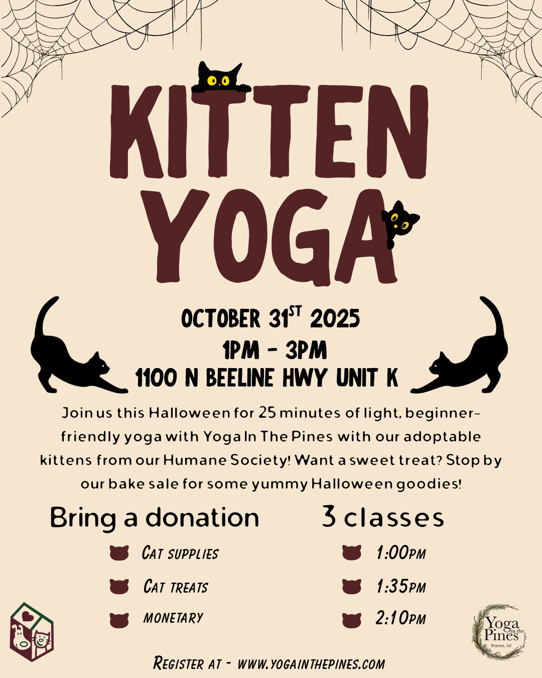Kitten Yoga – Humane Society of Central Arizona